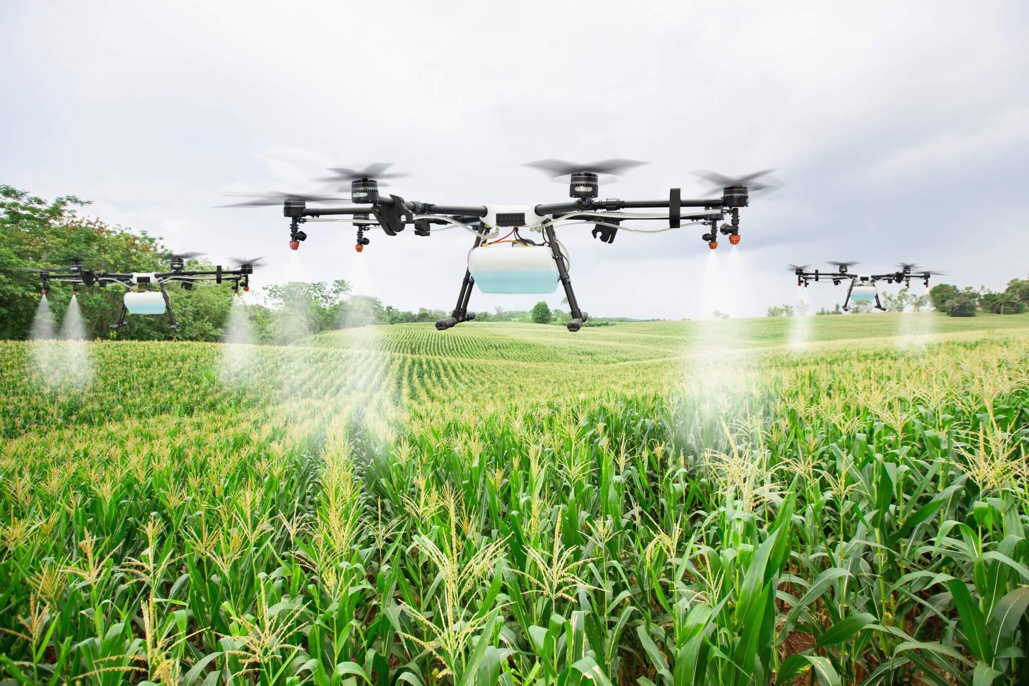 The Complete Guide to Insuring Agricultural Spraying Drones | BWI